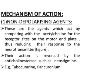 Neuromuscular blocking agents: Curare alkaloids | PPTX