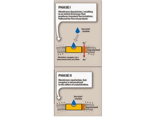 Neuromuscular blocking agents: Curare alkaloids | PPTX