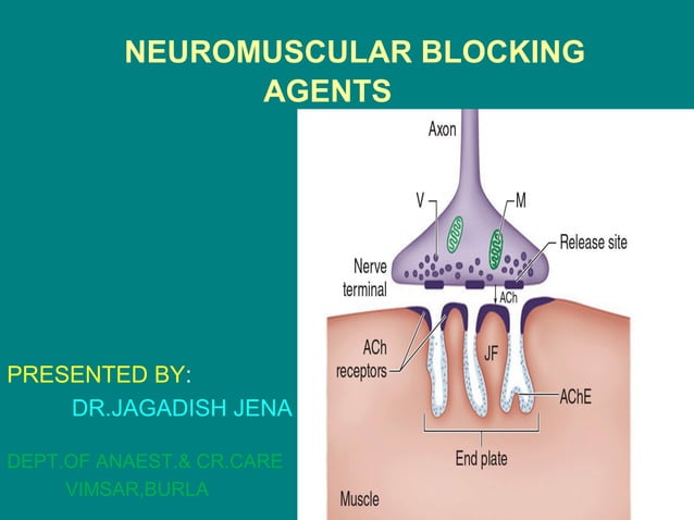 Neuromuscular blocking agents | PPT