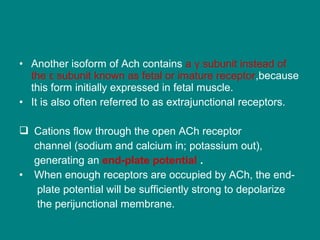 Neuromuscular blocking agents | PPT
