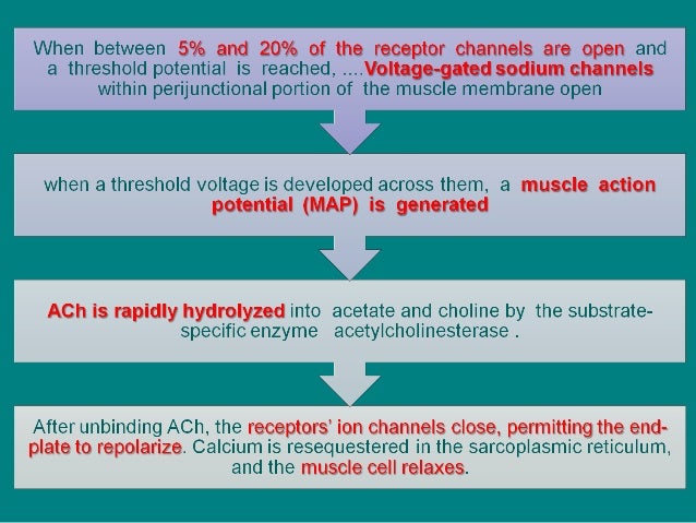 Neuromuscular blocking agents