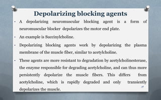 Neuromuscular blocking agents | PDF