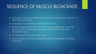 Neuromuscular blocking agents By Sardar Saud abbas | PPTX