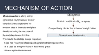 NEUROMUSCULAR BLOCKING AGENTS: CURARE ALKALOIDS | PDF