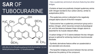 NEUROMUSCULAR BLOCKING AGENTS: CURARE ALKALOIDS | PDF