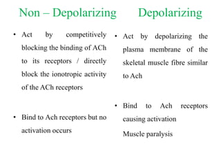 Neuromuscular blocking agents in large animals | PPTX