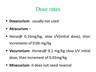 Neuromuscular blocking agents in large animals | PPTX