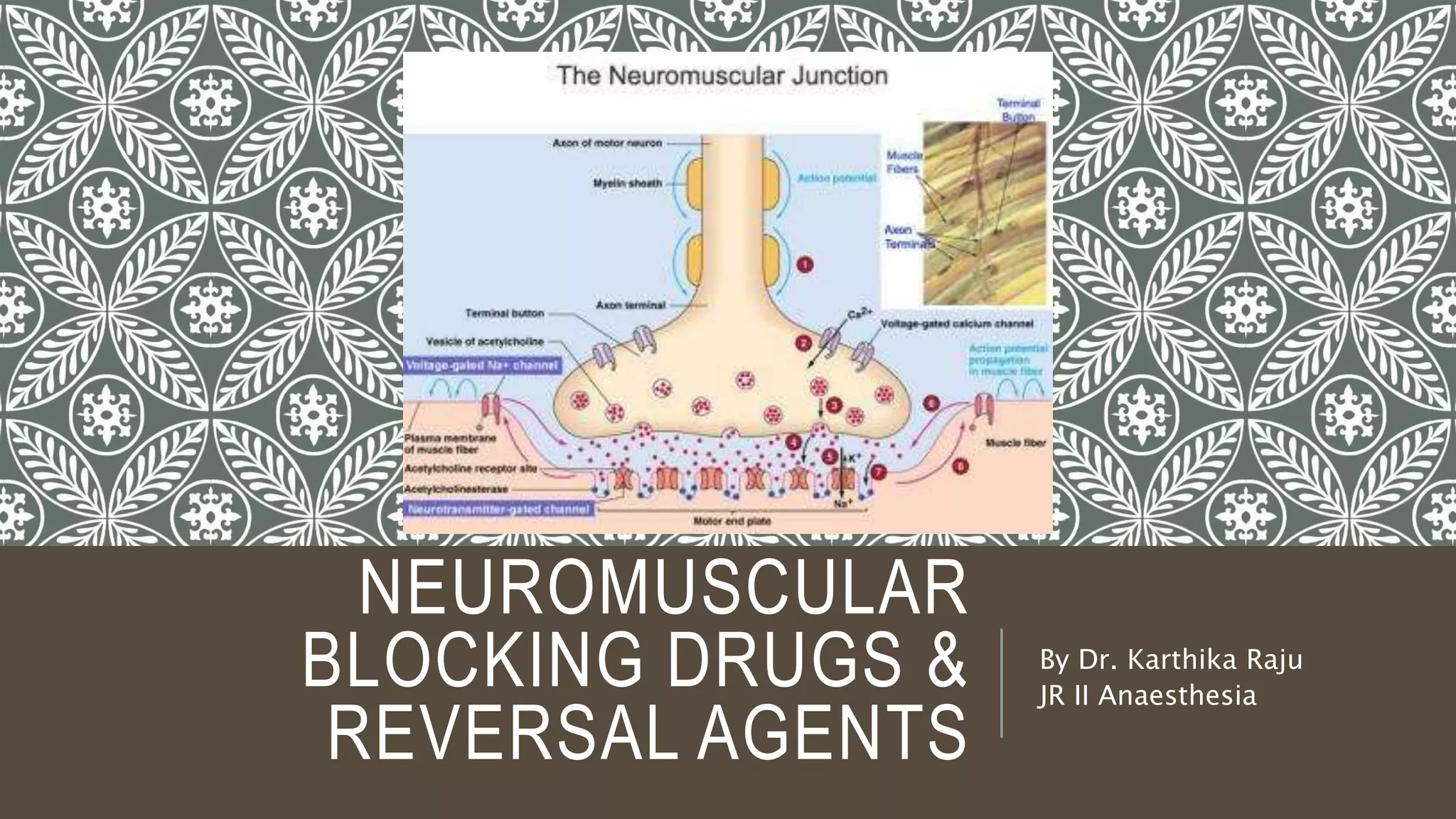 Neuromuscular blocking drugs & reversal agents | PPTX