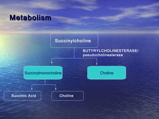 Neuromuscular blocking drugs(umar tariq) | PPT