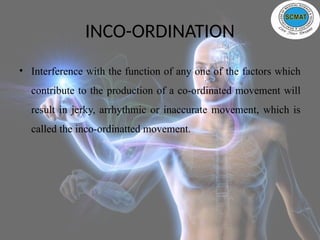 NEUROMUSCULAR CO-ORDINATION IN EXERCISE THERAPY | PPTX