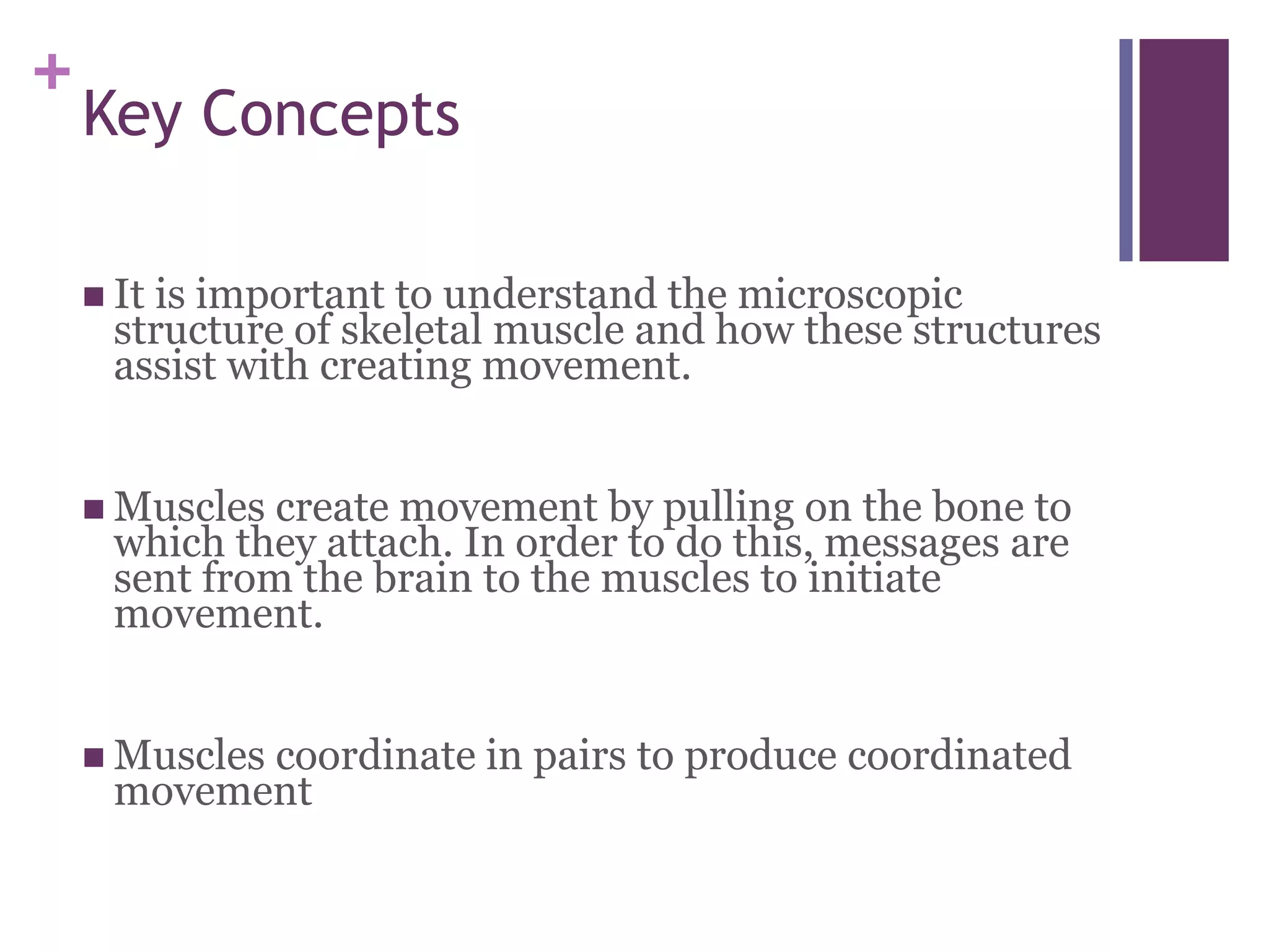 Neuromuscular control | PPTX