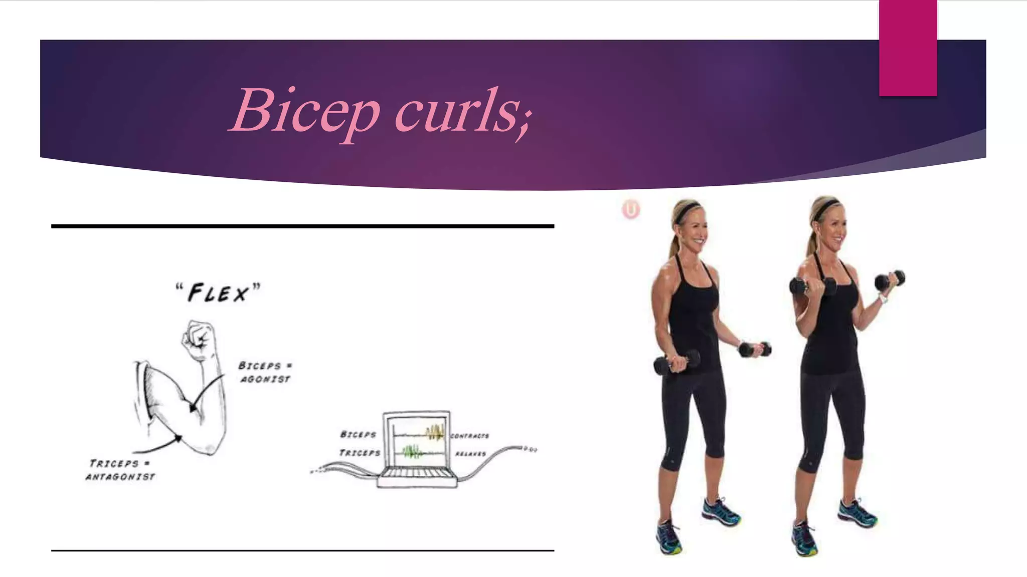 Neuromuscular coordinatioN , | PPT