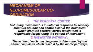 Neuromuscular coordinatioN , | PPTX
