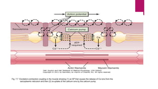 Neuromuscular coordinatioN , | PPTX