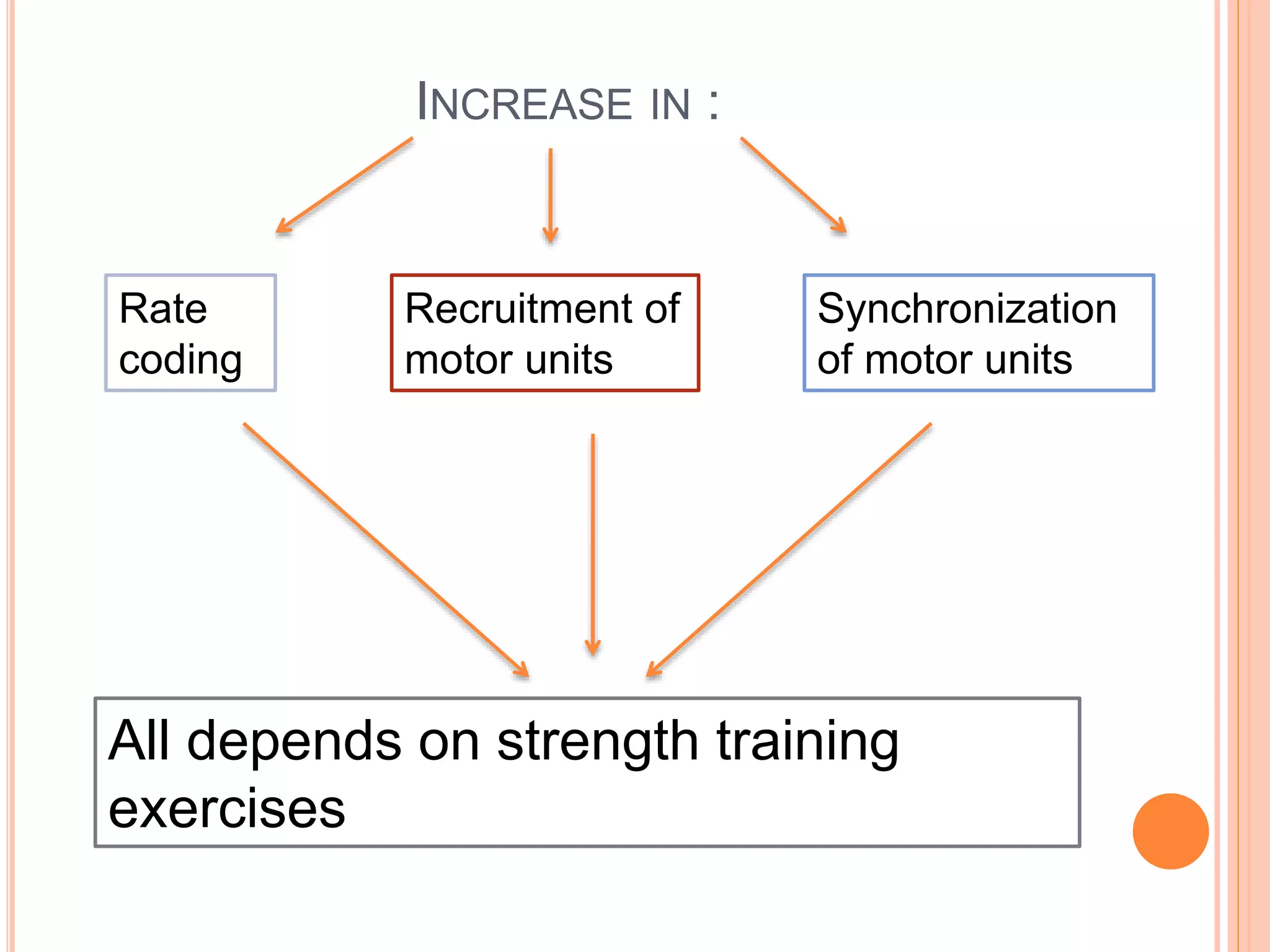 Neuromuscular Co-ordination | PPTX