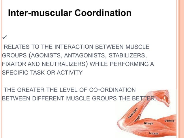 Neuromuscular Co-ordination | PPTX