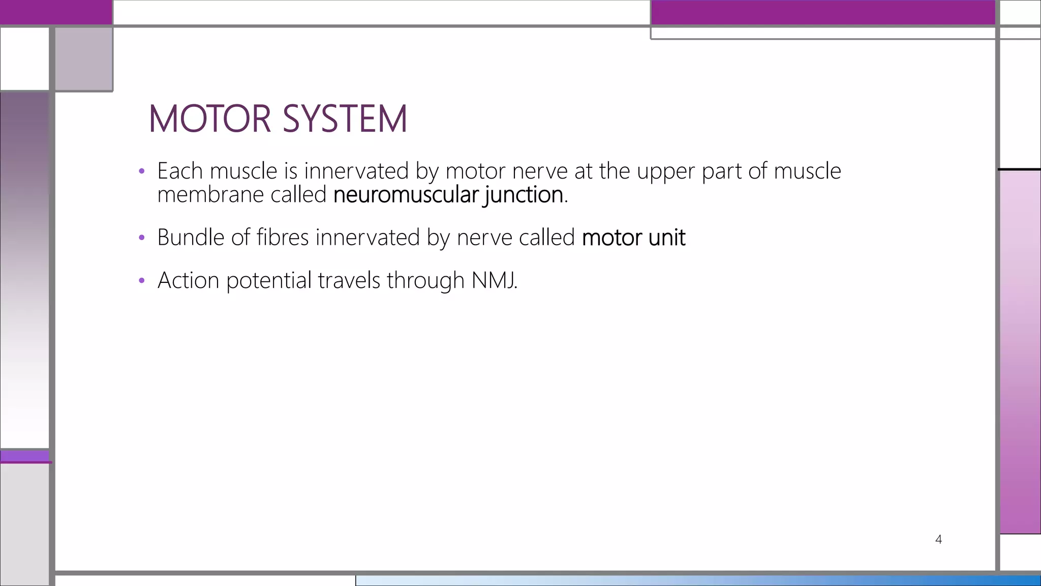 Neuromuscular coordination aasma mehak | PPTX
