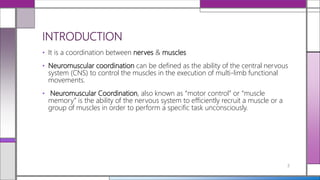 Neuromuscular coordination aasma mehak | PPTX