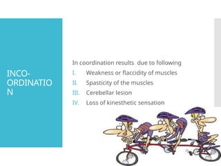 Neuromuscular coordination (DPT) kinesiology II.pptx