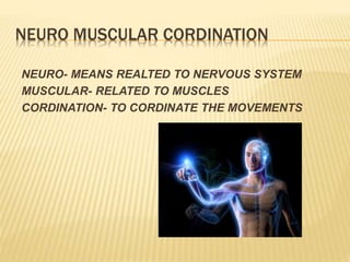 Neuro muscular cordination | PPT