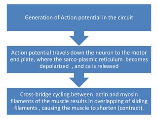 Neuromuscular electrical stimulation | PPTX