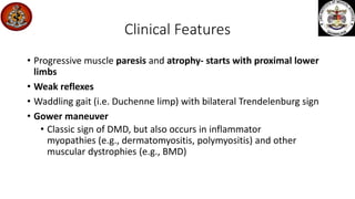 Neuromuscular II.pptx