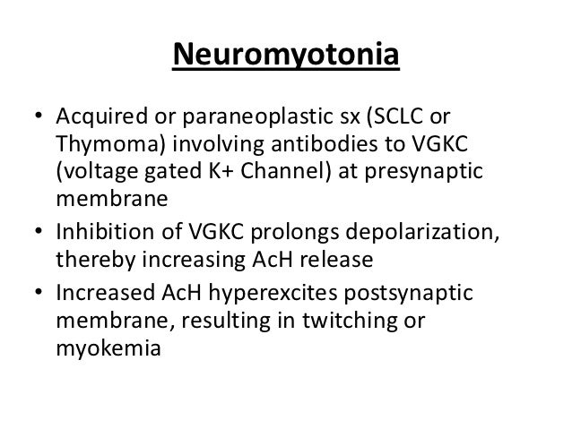 Neuromuscular junction