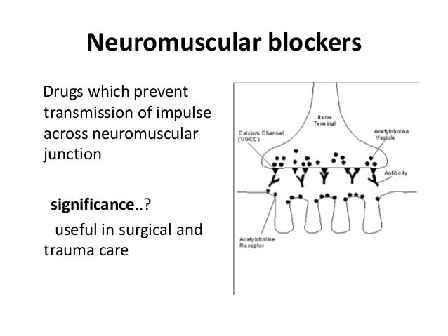 Curare Neuromuscular Junction