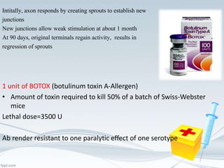 Neuromuscular junction | PPT