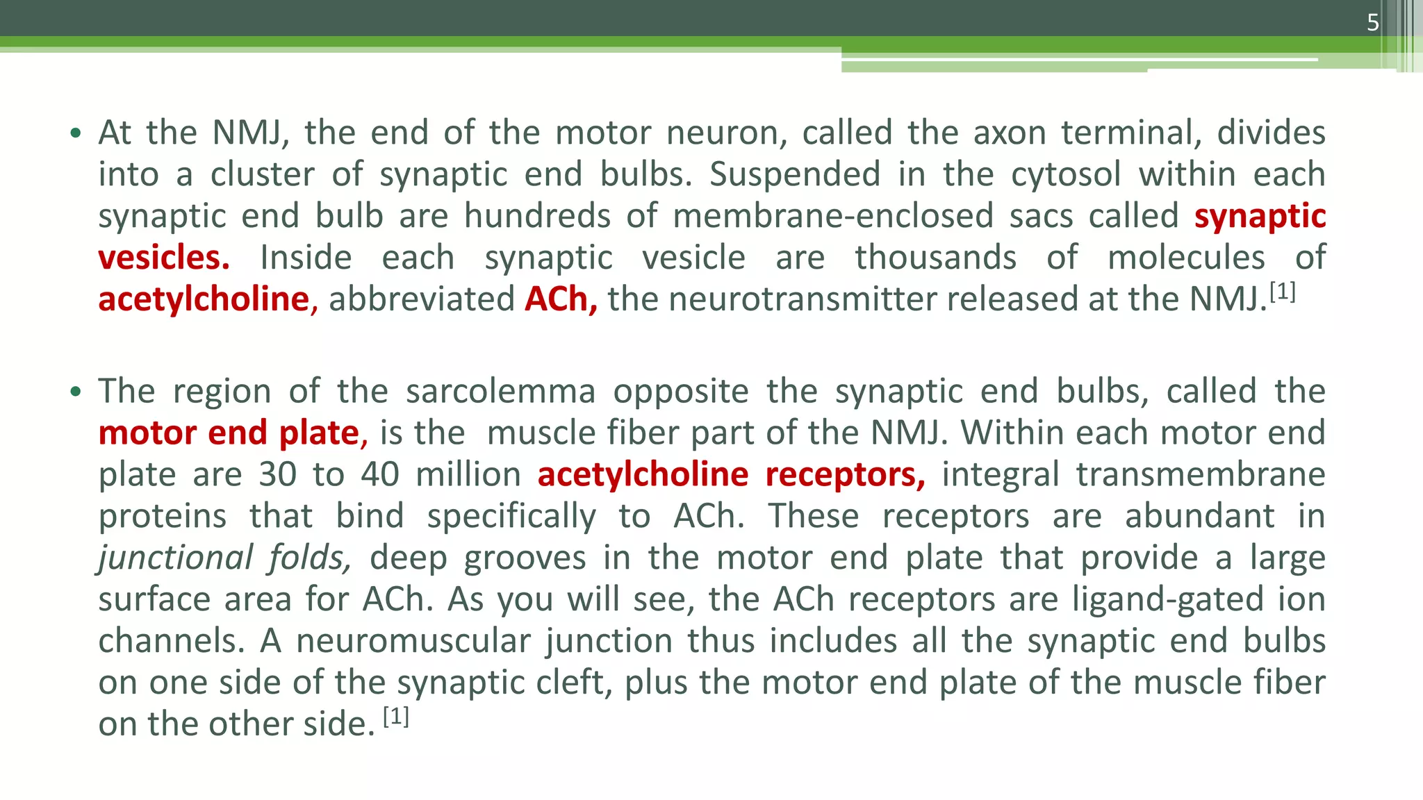 Neuromuscular junction | PPTX