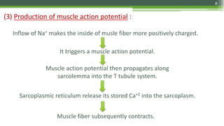 Neuromuscular junction | PPTX