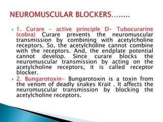 Neuromuscular junction | PPTX