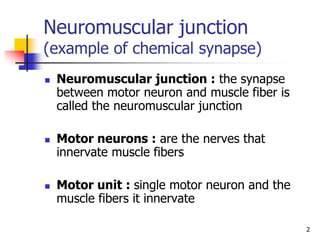 Neuro_muscular_junction.ppt