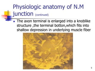 Neuro_muscular_junction.ppt