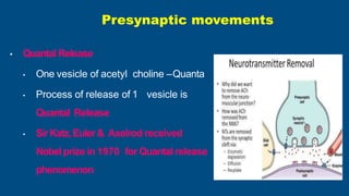Neuromuscularjunctionnervemusclephysiology.pptx | Brain and Nervous ...