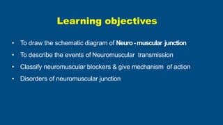 Neuromuscularjunctionnervemusclephysiology.pptx