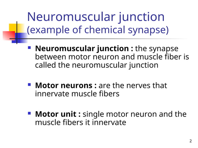 Neuro_muscular_junction physiotherapy.ppt