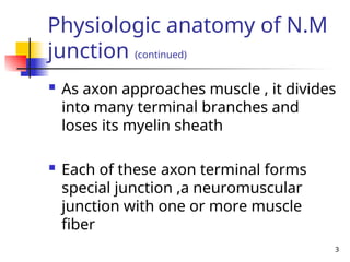 Neuro_muscular_junction physiotherapy.ppt