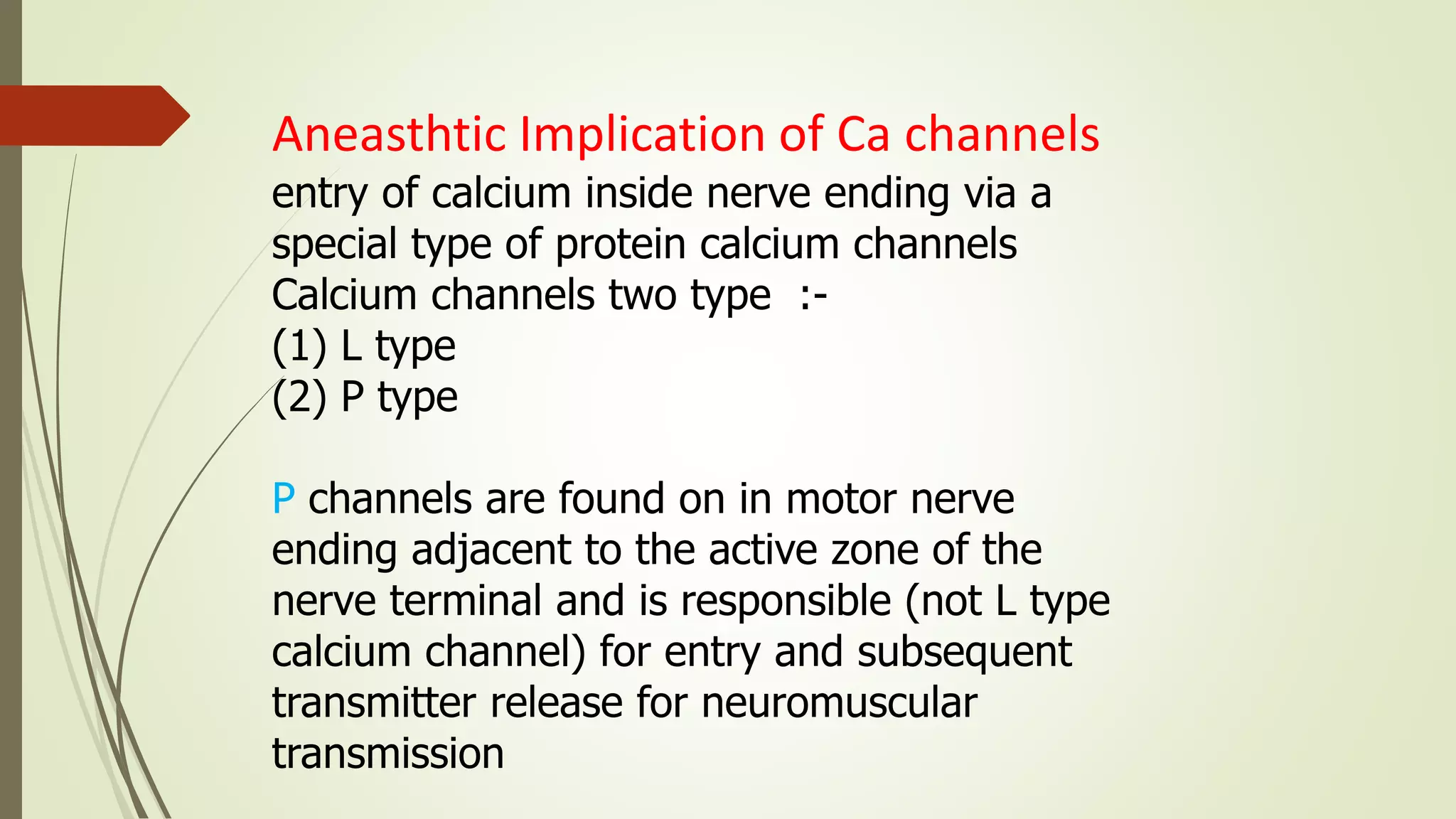 Neuromuscular junction anatomy & physiology | PPT Neuromuscular junction anatomy & physiology | PPT