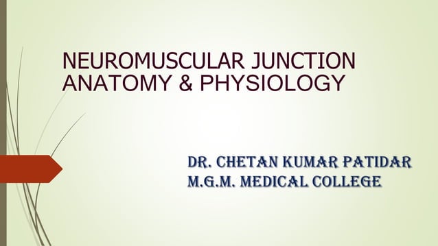 Neuromuscular junction anatomy & physiology | PPTX