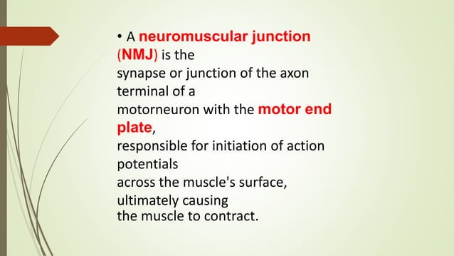 Neuromuscular junction anatomy & physiology | PPTX