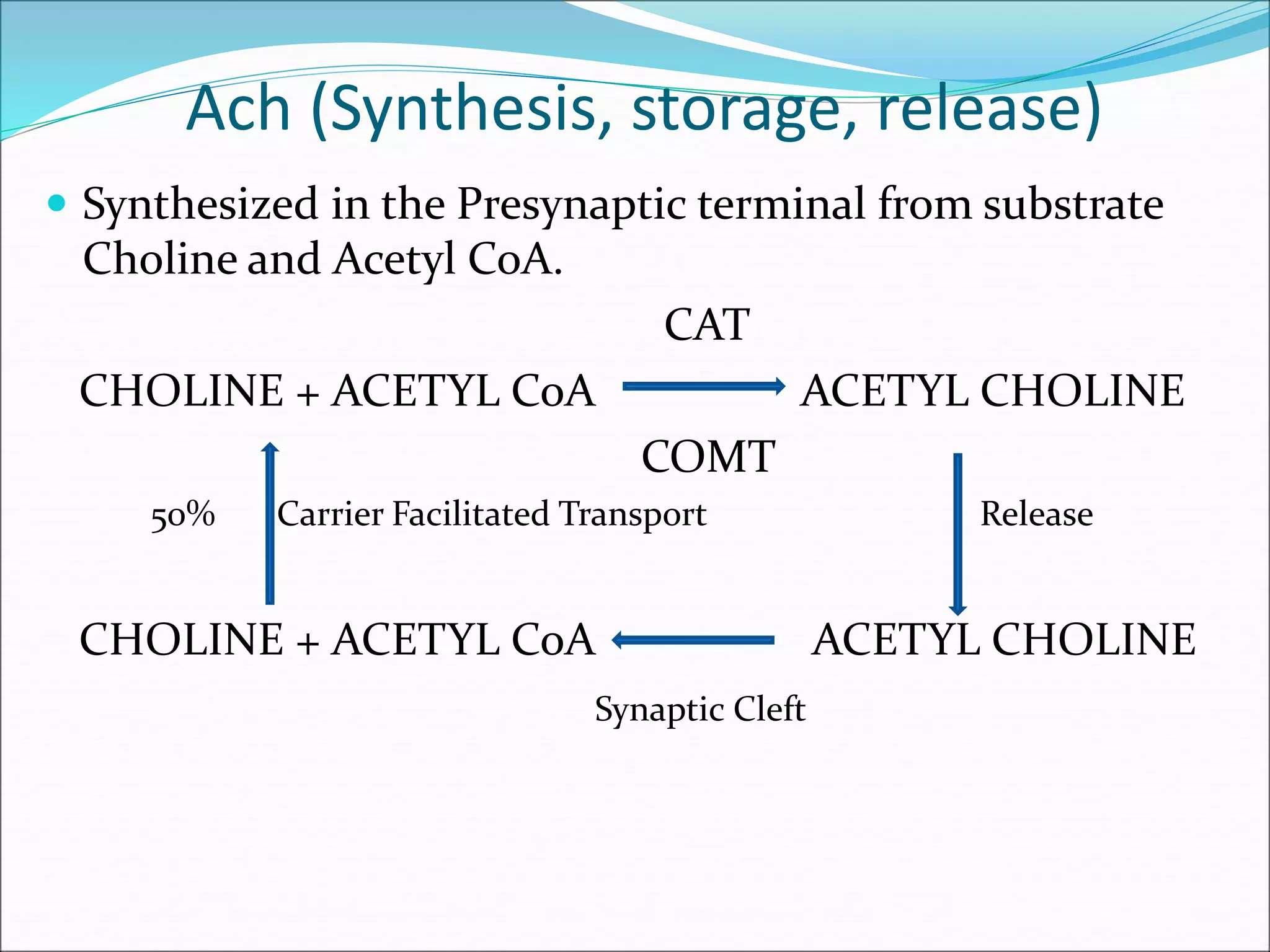 NEUROMUSCULAR JUNCTION AND MONITORING- pratibha.ppt