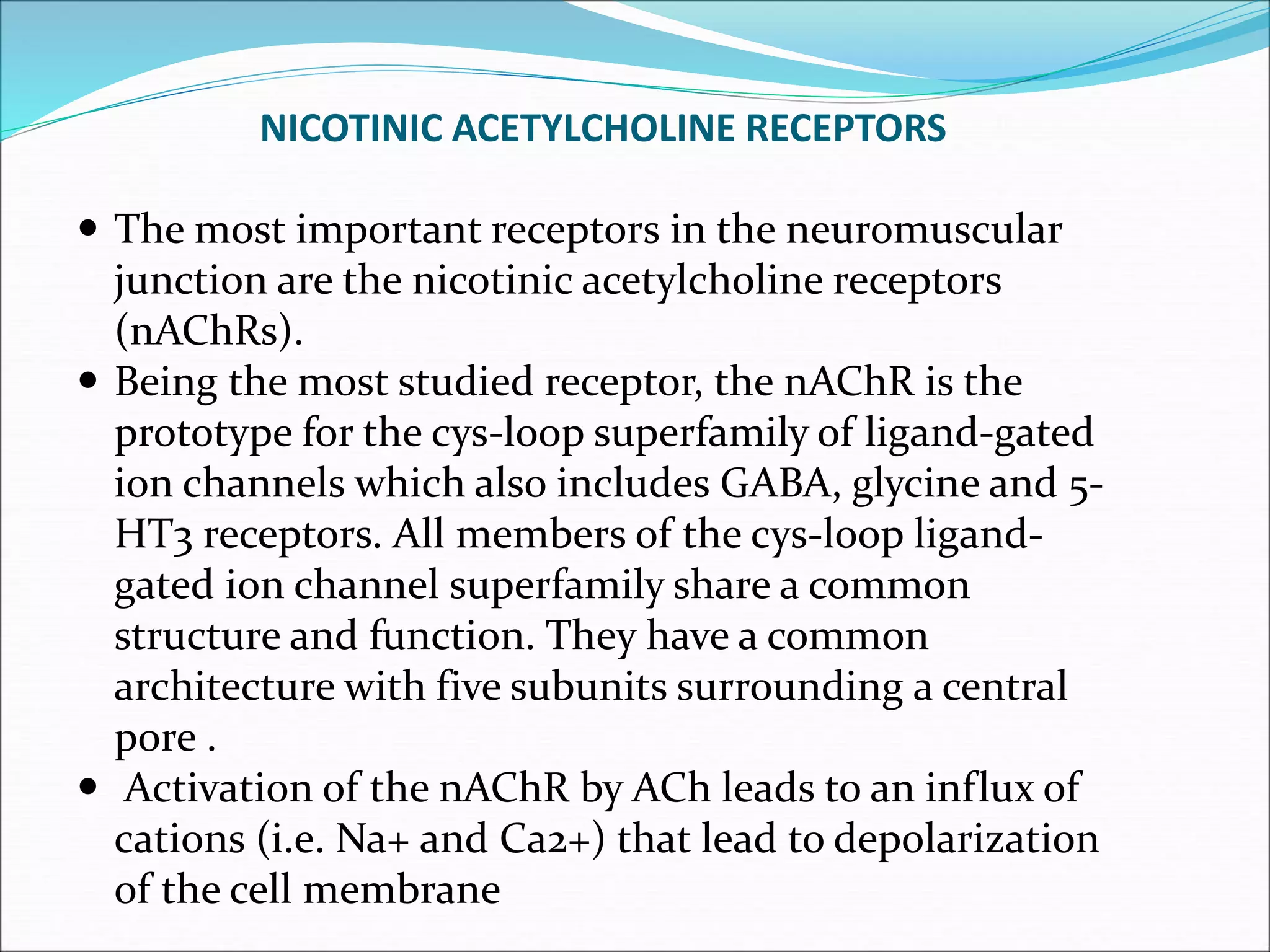 NEUROMUSCULAR JUNCTION AND MONITORING- pratibha.ppt