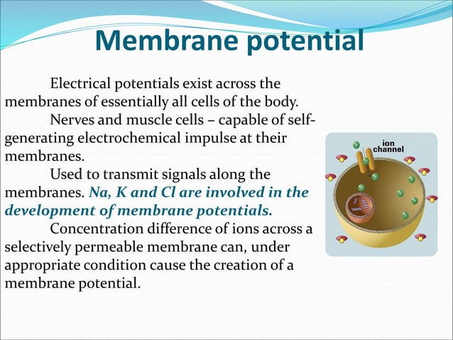 NEUROMUSCULAR JUNCTION AND MONITORING- pratibha.ppt
