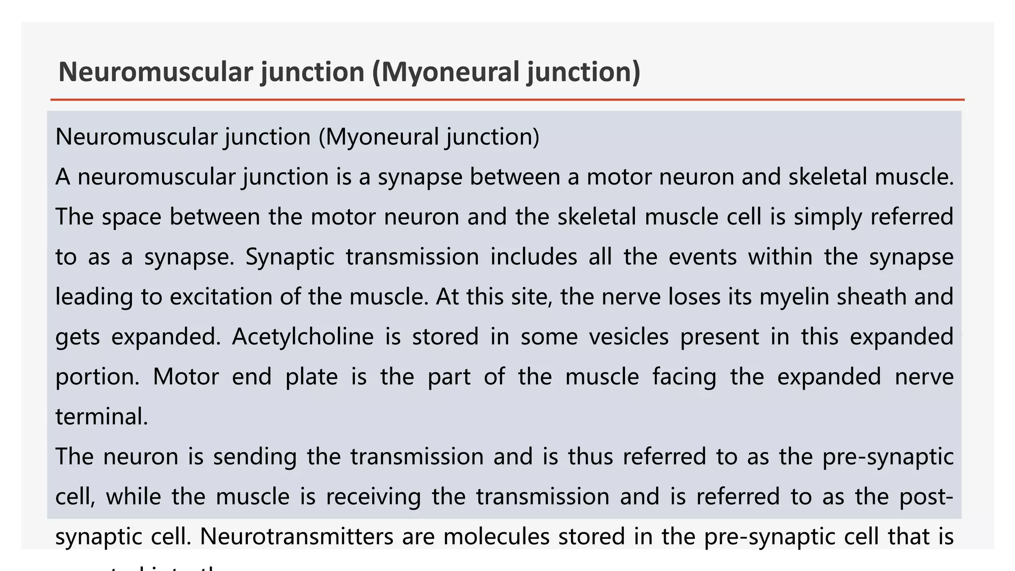 Neuromuscular junction (Myoneural junction) | PPTX