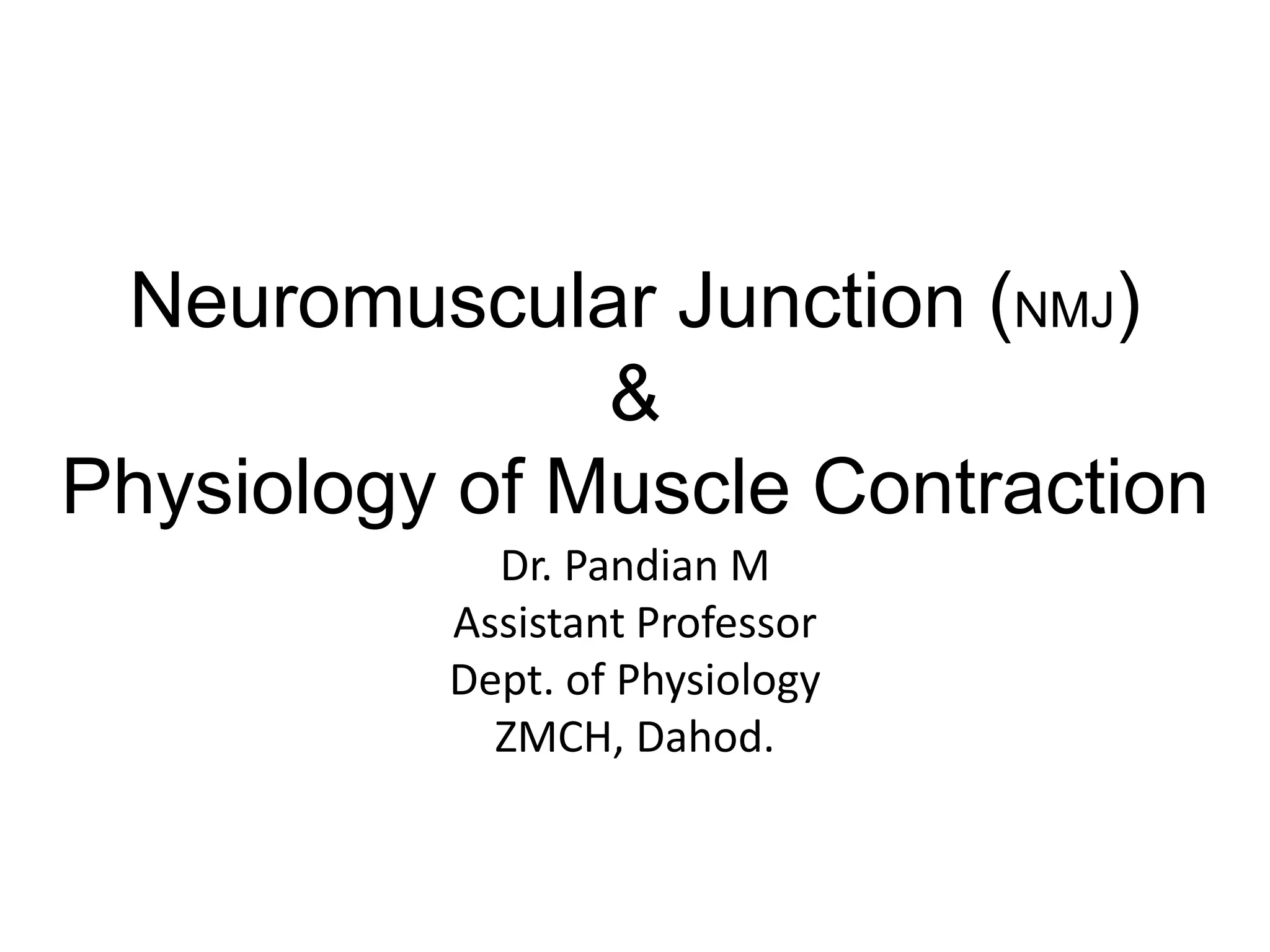 Neuromuscular Junction (NMJ).pptx