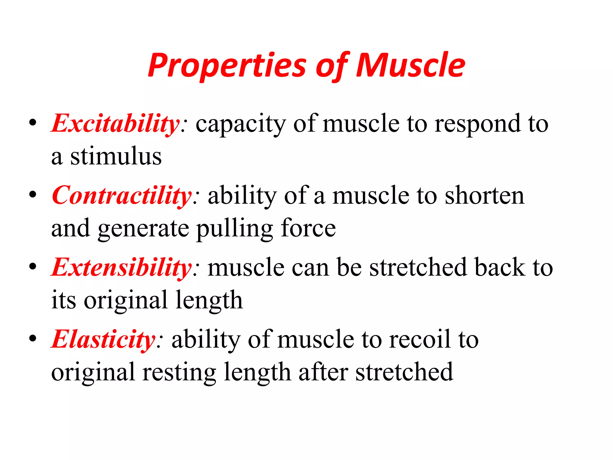 Neuromuscular Junction (NMJ).pptx