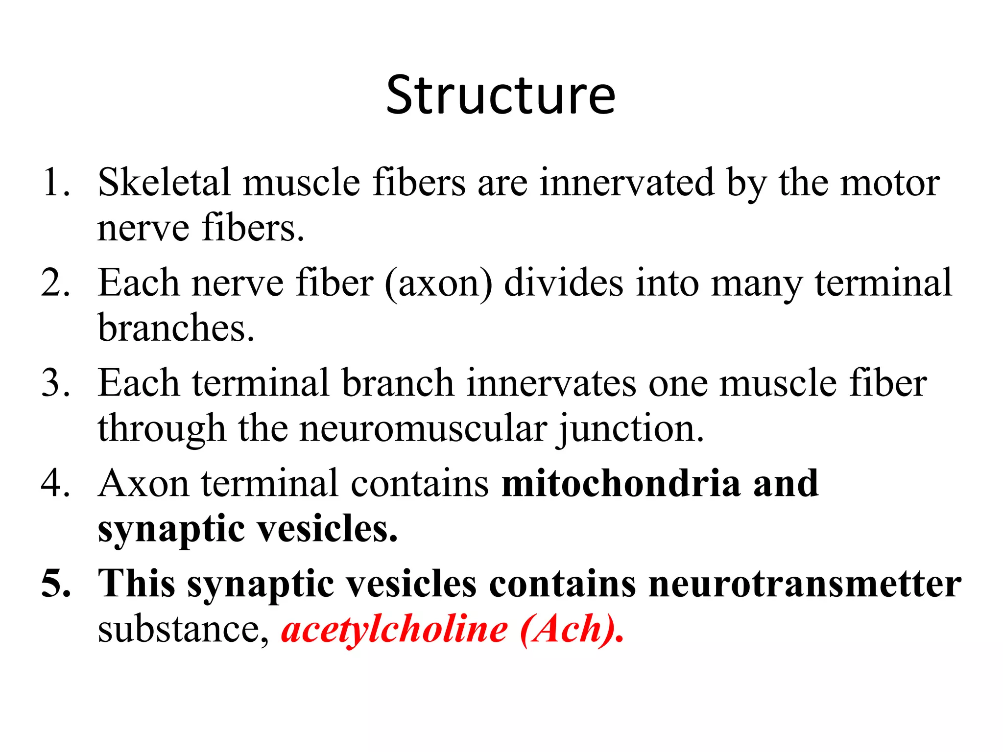 Neuromuscular Junction (NMJ).pptx