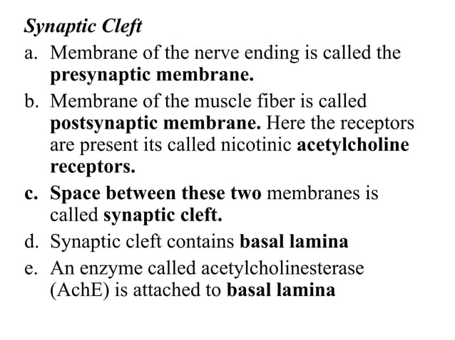 Neuromuscular Junction (NMJ).pptx