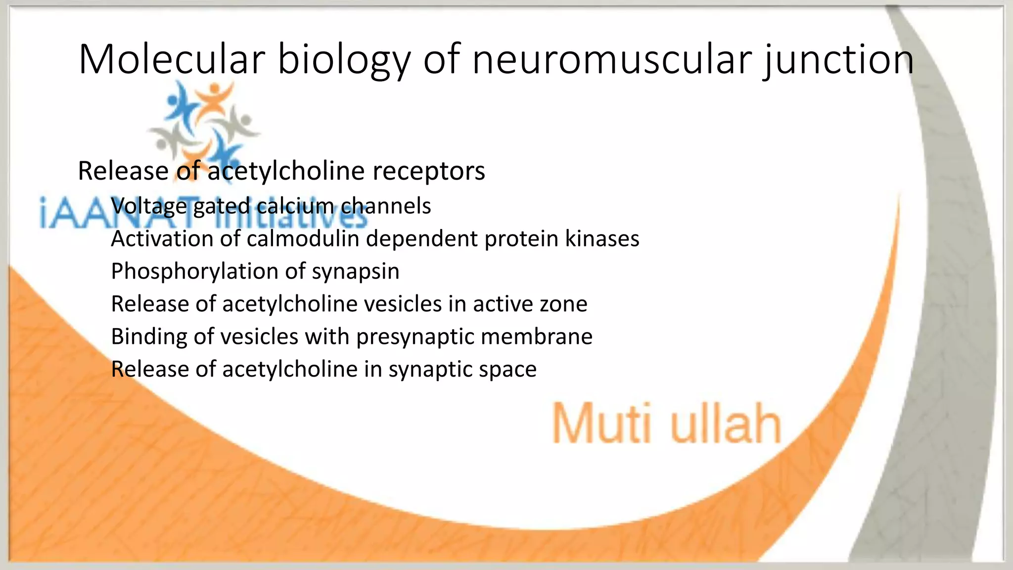 Neuromuscular junctions | PPTX